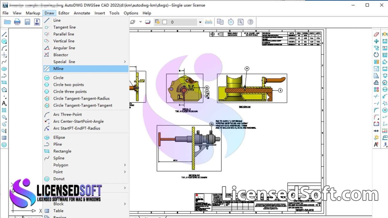 AutoDWG DWGSee Pro 2025 Perpetual License - LicensedSoft