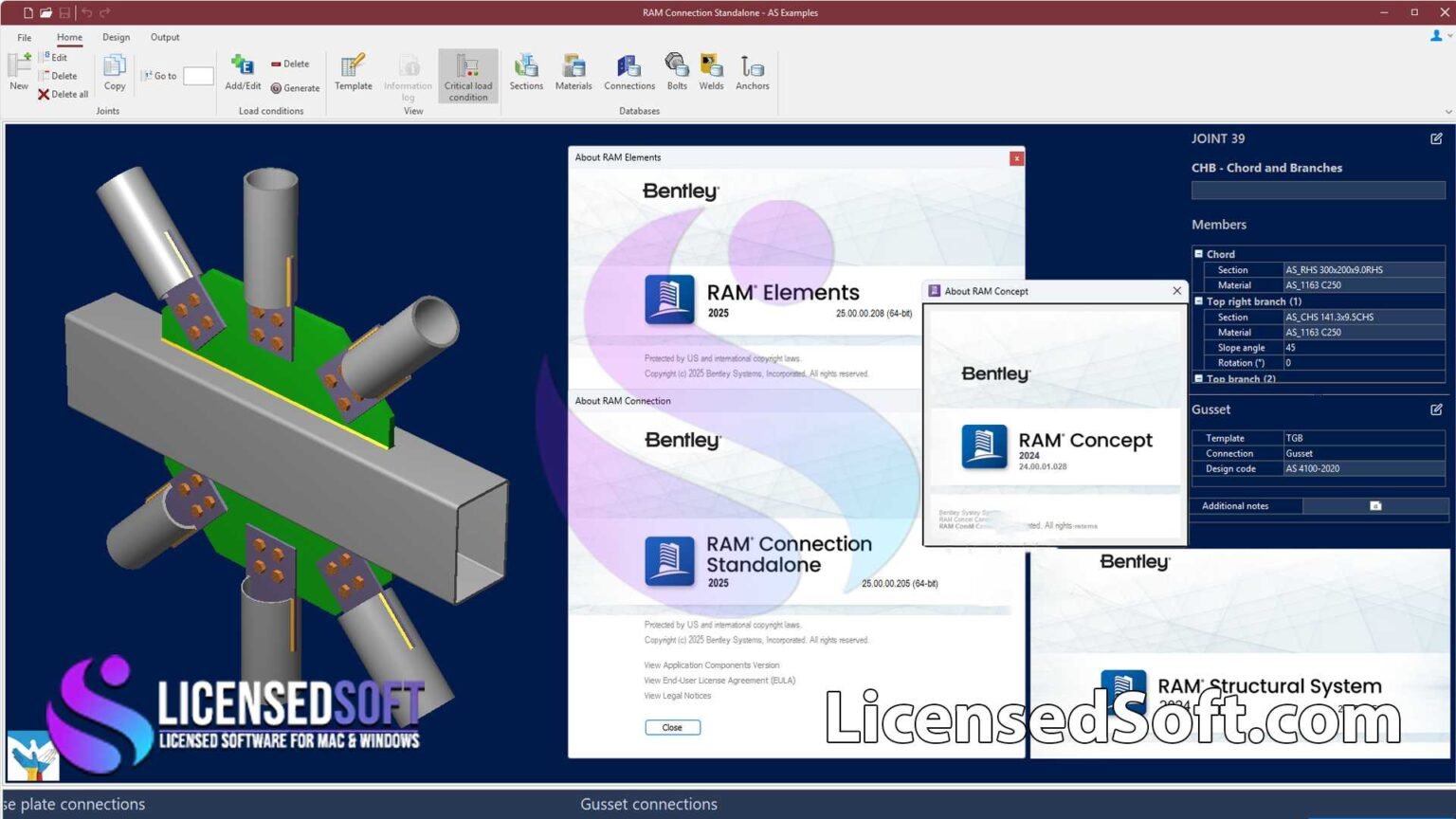 Bentley RAM Connection Standalone 2025 Full Version - LicensedSoft